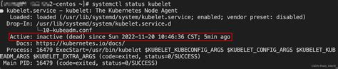 k8s学习 cka真题 集群故障排查kubelet 阿里云开发者社区