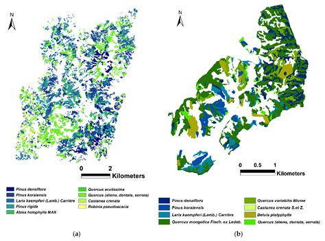 Forests Free Full Text Deepening The Accuracy Of Tree Species