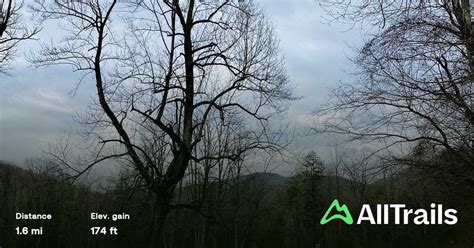 Shavers Fork River Loop 36 Reviews Map West Virginia Alltrails