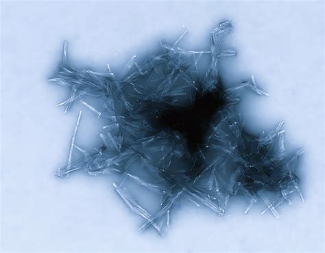 Sod1 For Neurodegenerative Disease Research