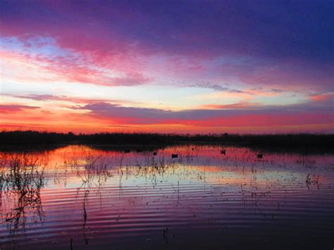 Llano Seco Duck Struck