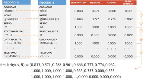 example of the similarity vector obtained comparing two records using