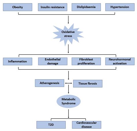 Sex Related Effects Of Gut Microbiota In Metabolic Syndrome Related