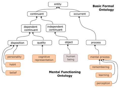 Mapping The Patients Experience An Applied Ontological Framework For Phenomenological