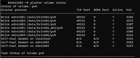 Low Cost Nas Using Glusterfs The Seeley Coder
