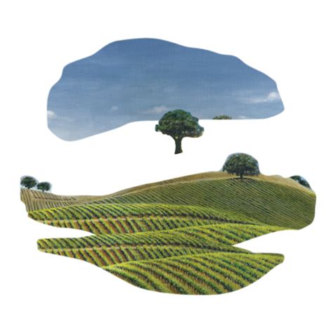 From Cakebread To The Central Coast Bezel Wines