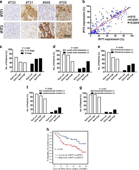 Association Of Ifit1 And Ifit3 Expression With Poor Clinical Outcome In