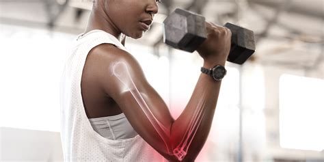 Bones Respond Positively To External Forces Eth Zurich