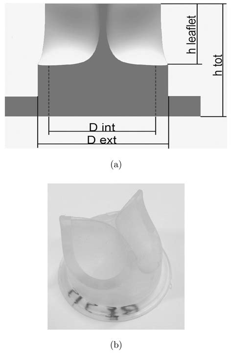 A Newly Developed Tri Leaflet Polymeric Heart Valve Prosthesis