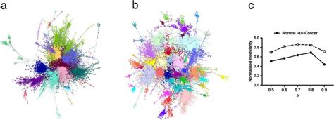 Network Visualization And Community Structure Detection A Normal