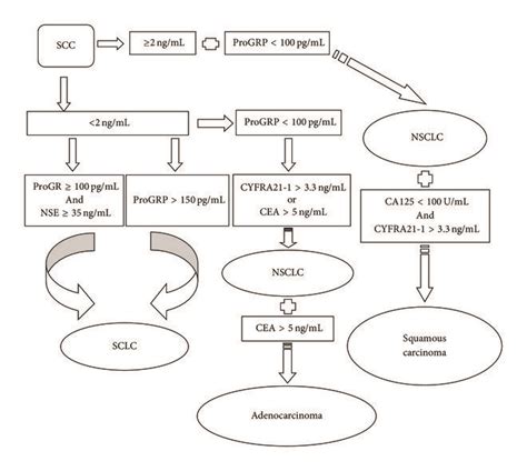 Diagnostic Decision Tree For Lung Cancer Histological Types Download