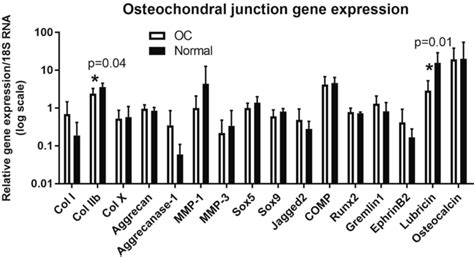 Gene Expression Of Laser Captured Osteochondral Junction Chondrocytes