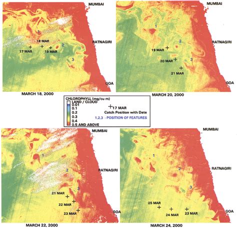 Chlorophyll A Maps Derived From Irs P40cm Data Download Scientific Diagram