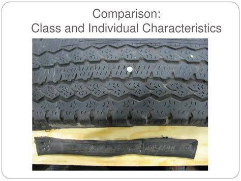 Ppt Understanding Forensic Characteristics Of Evidence Powerpoint