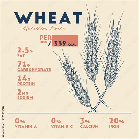 Health Benefits Of Wheat Nutrition Facts Stock Vector Adobe Stock