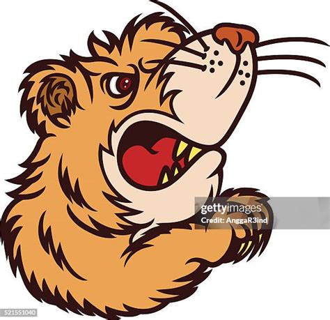 Grasshopper Mouse Photos And Premium High Res Pictures Getty Images