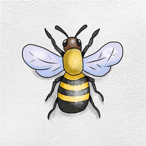 How To Draw A Bumblebee Helloartsy