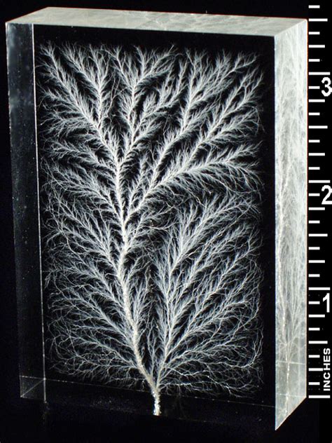 Lightning Strike Lichtenberg Figures Lichtenberg Figures