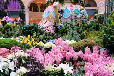 2403216 ラスベガス大全 世界最大級のラスベガス観光情報サイト