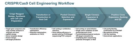 Crispr Cas9 Gene Editing Services Precision And Efficiency Crown