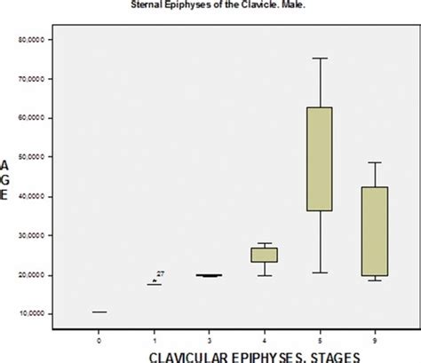 Degree Of Ossification Of The First Rib In Relation With Sex And Age Download Scientific