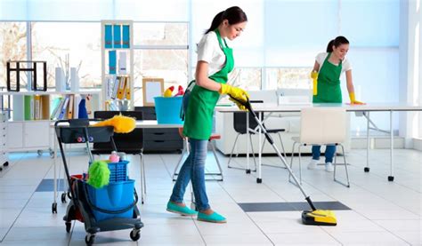 What Is The Difference Between Professional Cleaning And Regular Cleaning