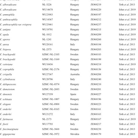 A B Scanning Electron Microscope Sem Analysis Of Basidiospores