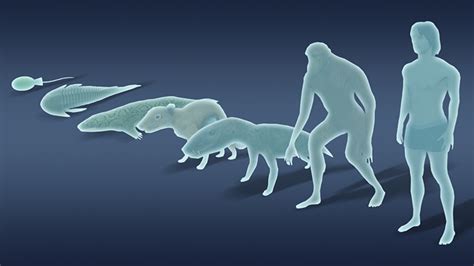 Idle Evolution From Cell To Human Play Free Games Online