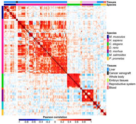 Toxics Free Full Text Cross Species Transcriptomics Analysis