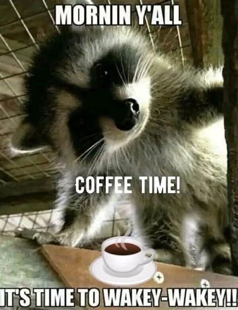 Coffee Memes And Quotes Facebook Morning Quotes Funny Cute Good