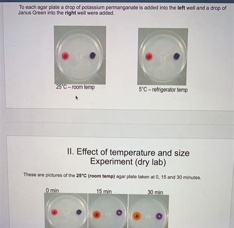 Solved Ii Effect Of Temperature And Size Experiment Dry