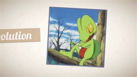 My Favorite Pokémons Evolution Lets Go Treeko Youtube