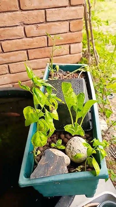 This Is What Function Over Form Looks Like Youtube