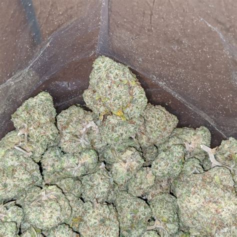 Buy Bulk Thin Mints Strain Cheap Weed Pounds And Reviews