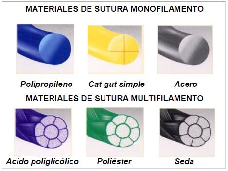 Sutura Y Cicatrización