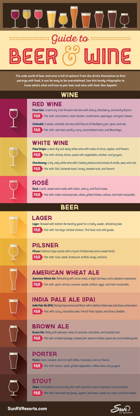 Guide To Beer And Wine Infographic