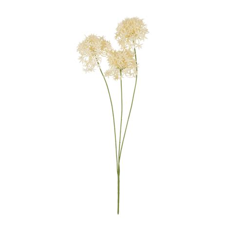 Faux Allium Stems In Cream At Home Smith