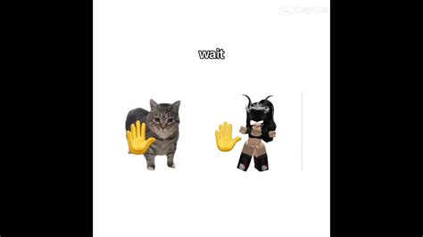 Waitcat Version Youtube