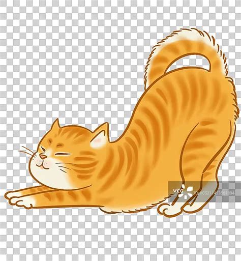 可爱橘猫元素图片素材 花瓣网