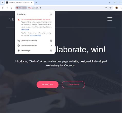 Docker Configure Your Localhost To Use Ssl Christophe Avonture