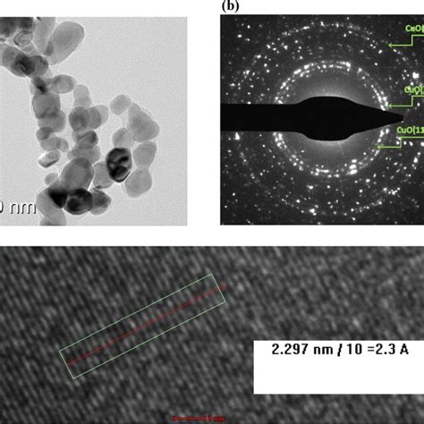 A Tem Image Of Cuo Nanoparticles B Selected Area Electron Download Scientific Diagram