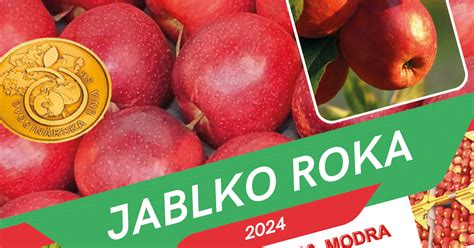 Jablko Roka Sady A Vinice