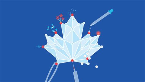 Mining Canadas Health Data Public Policy Forum