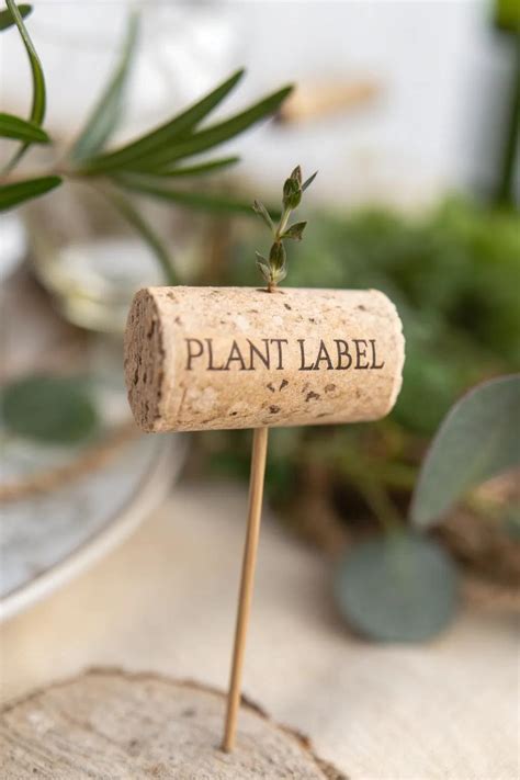 16 Creative Diy Plant Label Ideas For Your Garden Alderlight