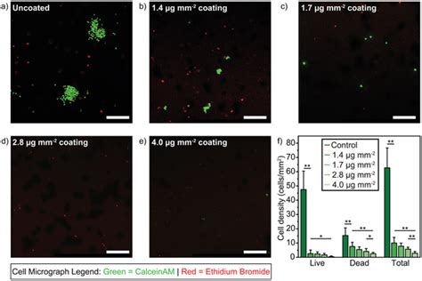 Nanoribbon‐coated Surfaces Show Significantly Lower Adhered Cell Download Scientific Diagram