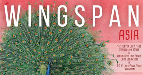 Wingspan Documentary At Lynn Sparks Blog