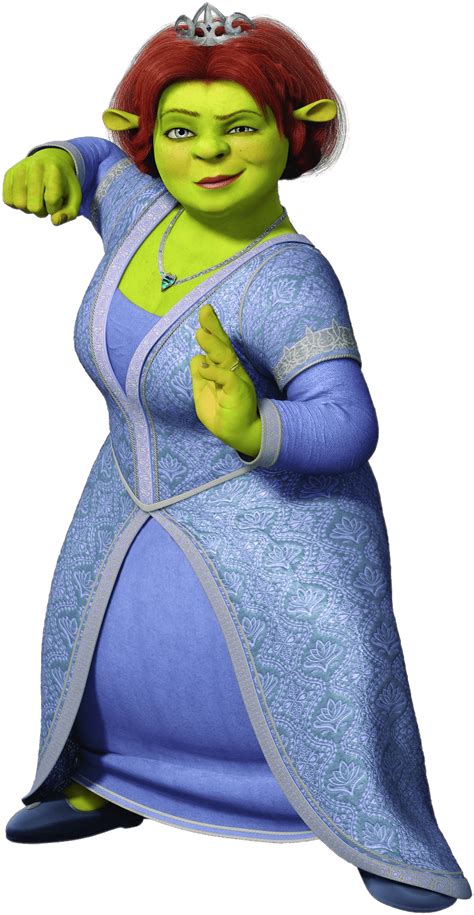 Princess Fiona Fighter Png Shrek And Fiona 957x1764 Png Download