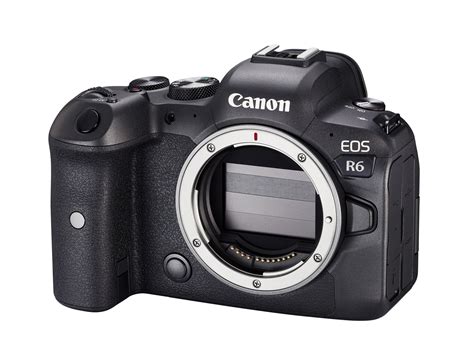 Canon EOS R6 long term review - Amateur Photographer