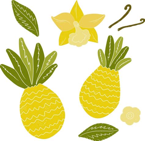 Pineapple Clip Art 44584737 Vector Art At Vecteezy