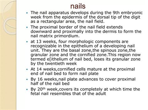 Skin Structure And Development Pptx